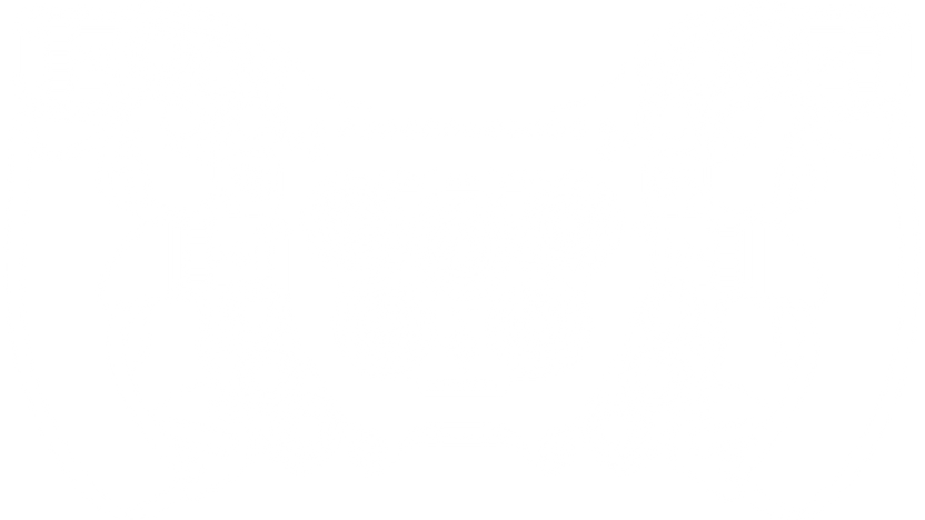 FPE V1 - Setup Guide | GSI