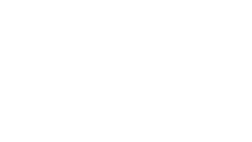X-29 - Setup Guide | GSI